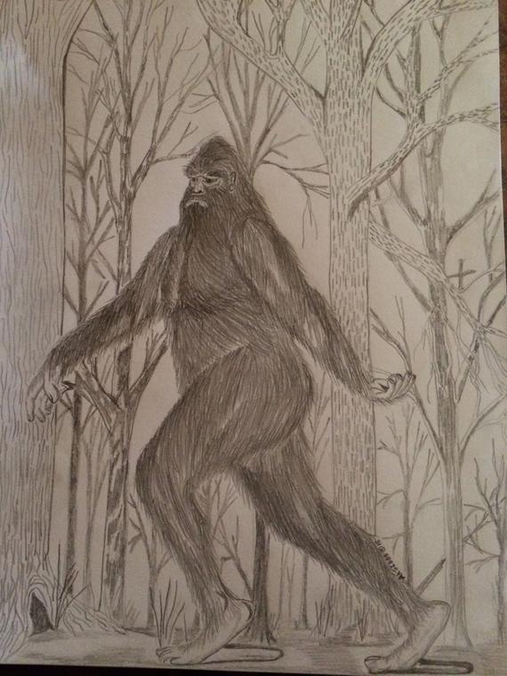 Bigfoot Drawings