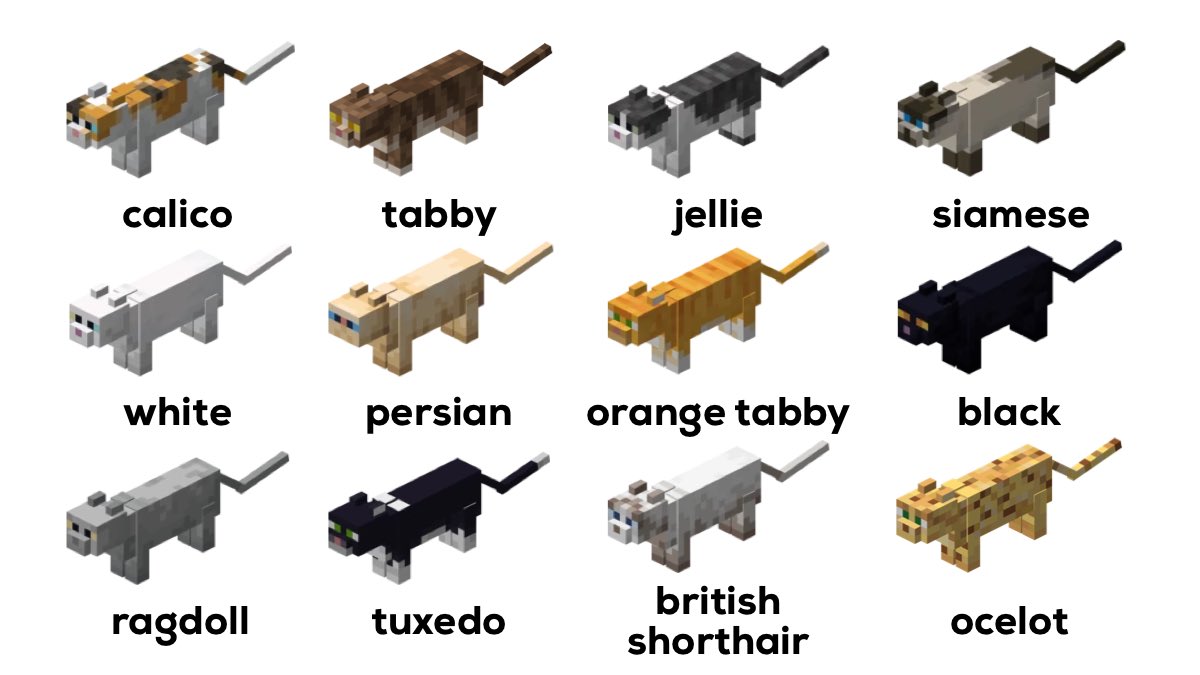 What is ranboos zodiac sign 60 photos - Youhoroscope.com