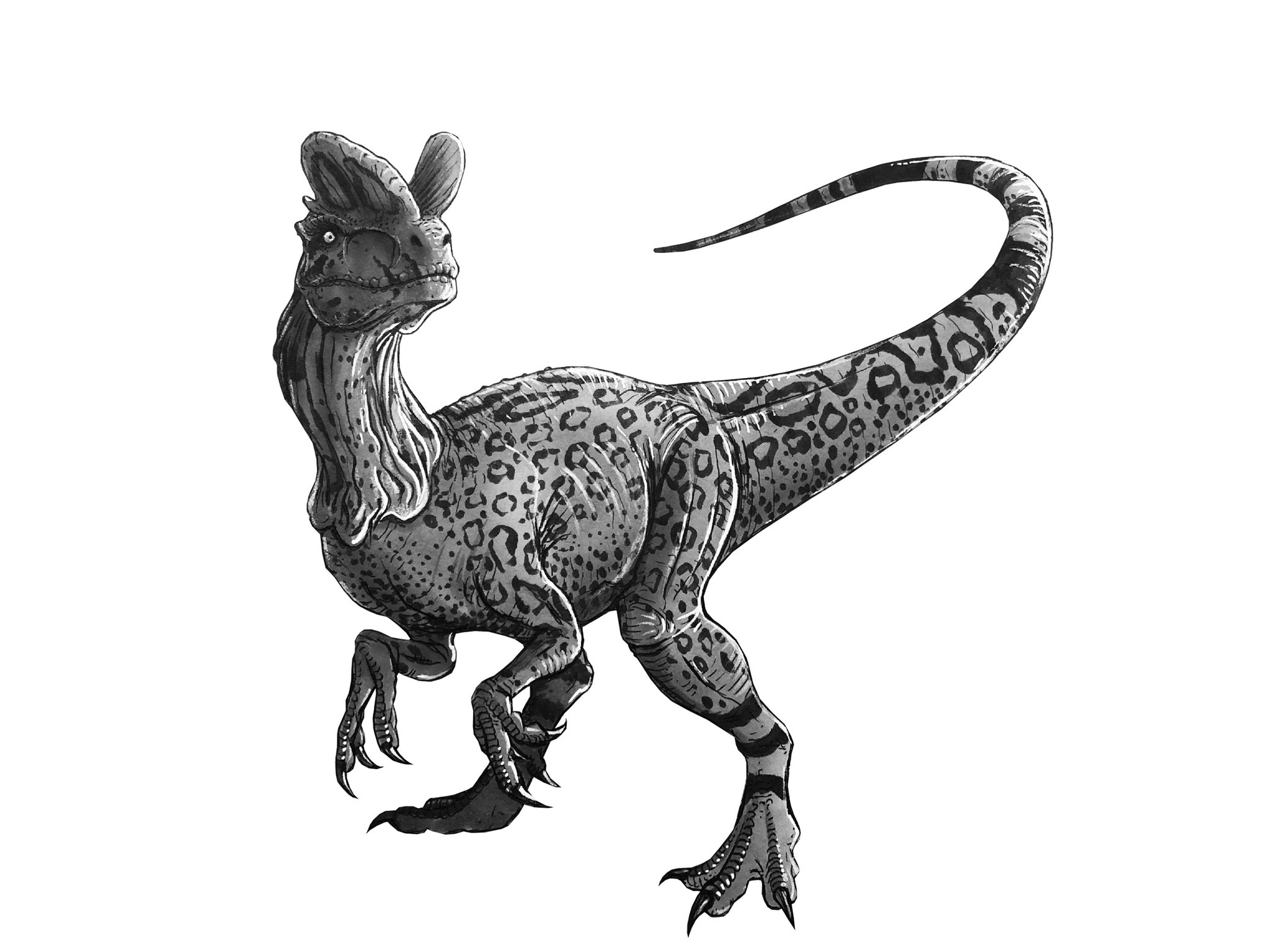 Dilophosaurus Jurassic Park Novel
