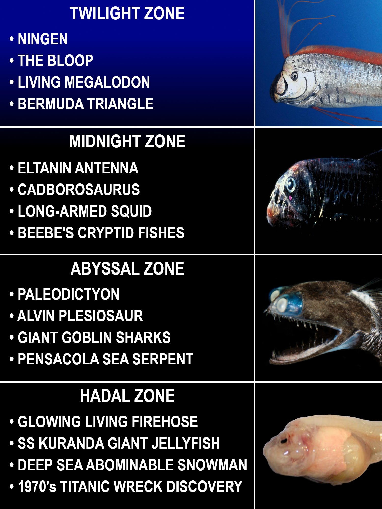 Cryptids List