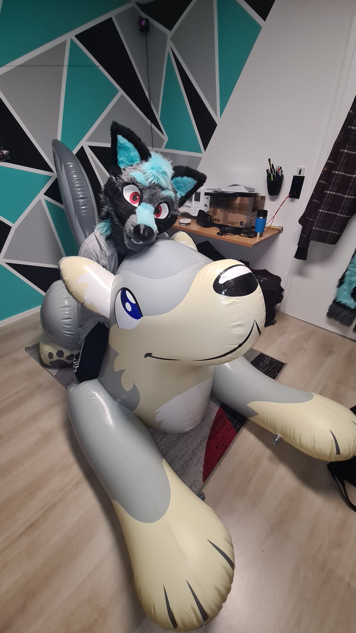 Kiba Wolf (@KibaWuff) / Twitter