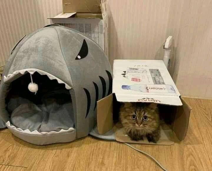 3mad (@3oomdda) | Twitter