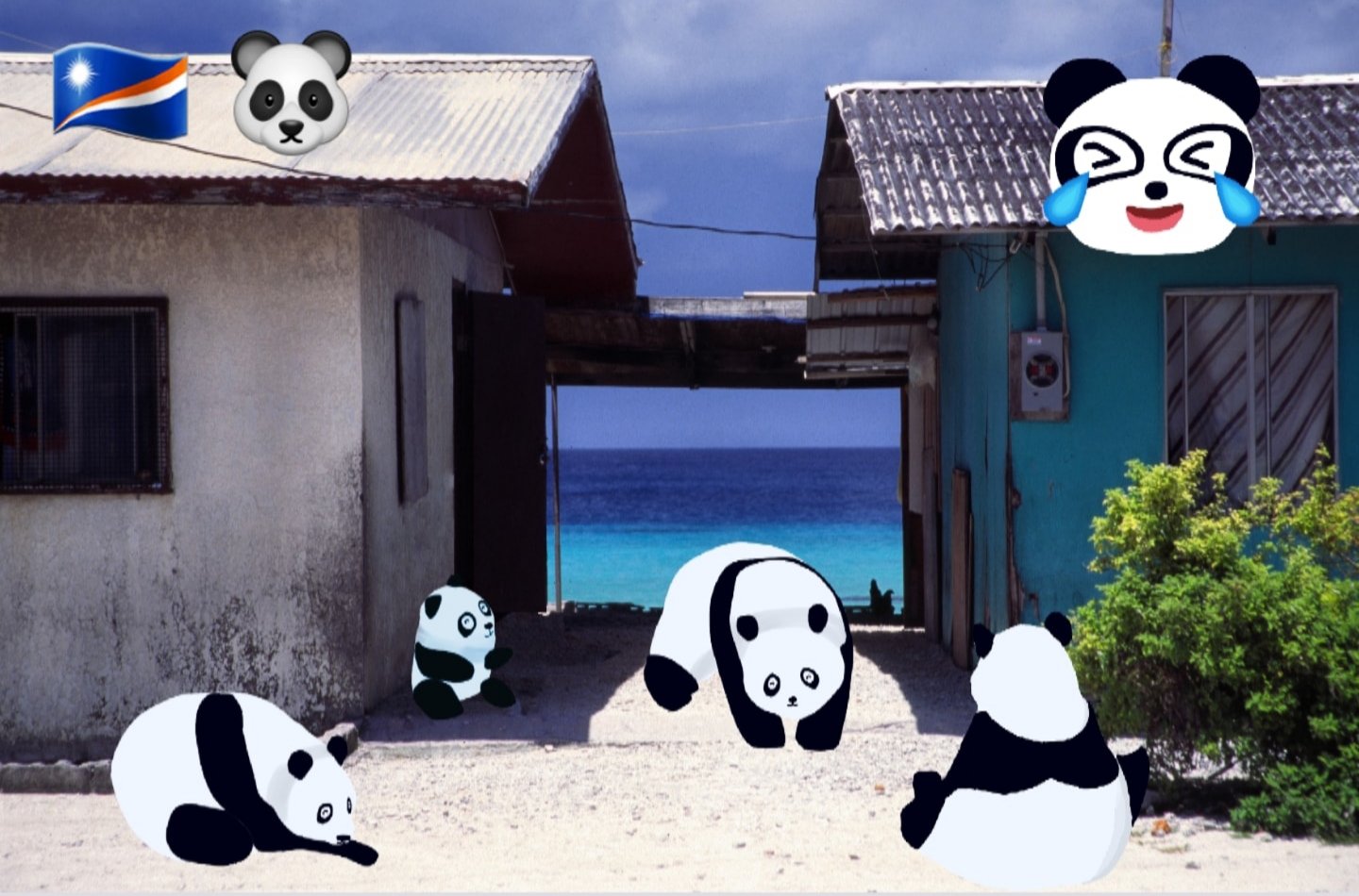 Panda Creative Commons