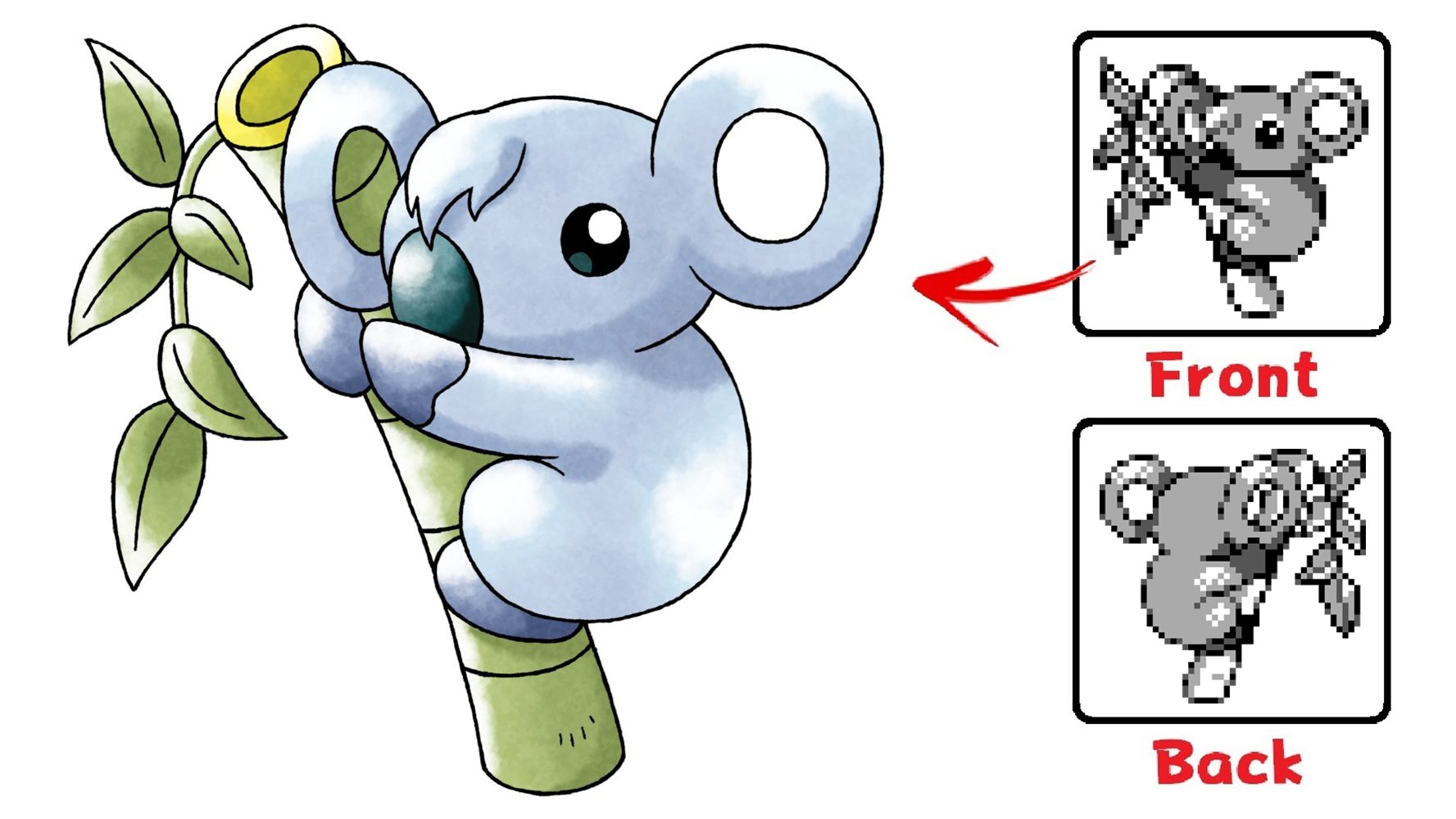 Koala Pokemon