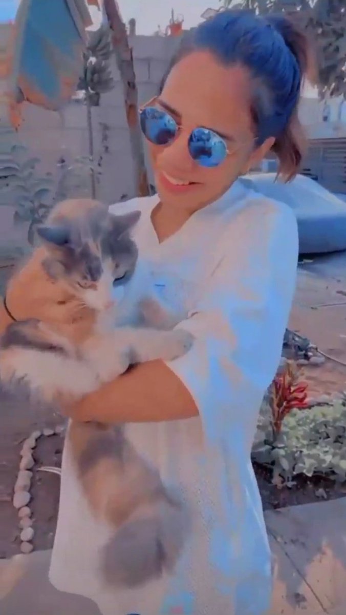 Elem_Car (@car_elem) | Twitter