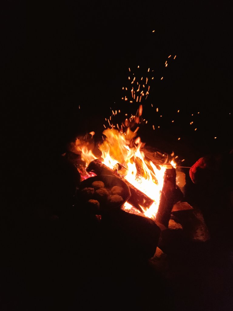 Bonfire Party Tumblr