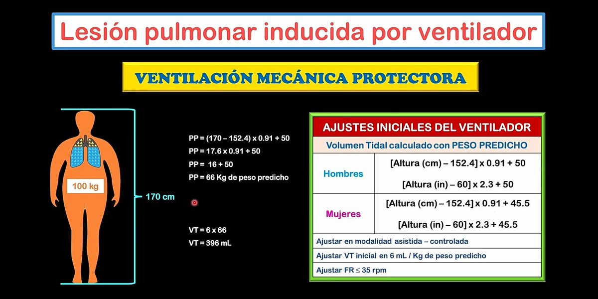 seno Morbosidad Operación posible calculo de volumen tidal Segundo ...
