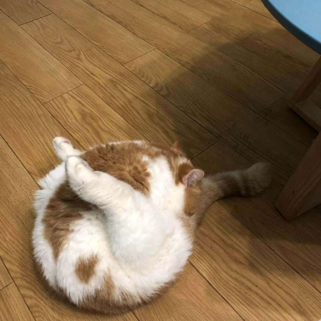 我的推友都好血腥好暴力 Green茶茶酱 @meizaijiang