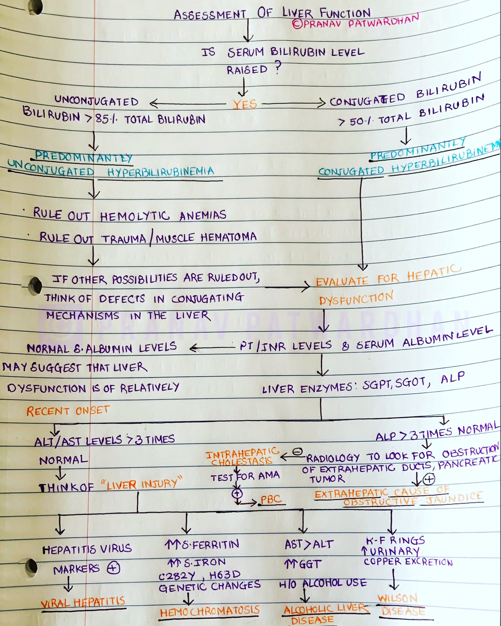 Liver Test Chart