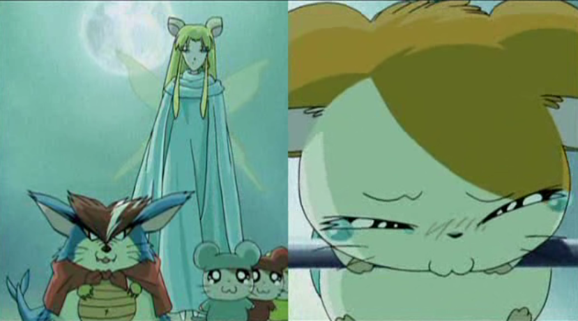 Hamtaro Characters Boss