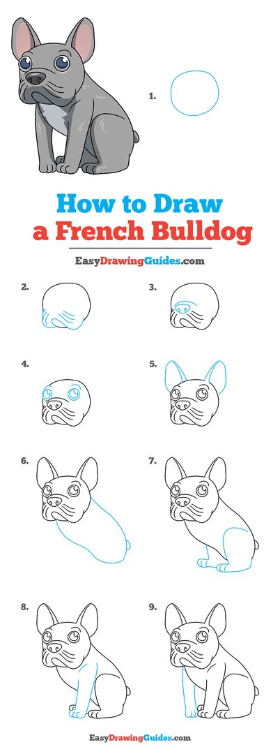 How To Draw A Bulldog Step By Step