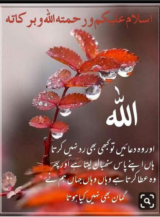 Aasma Sohail (@AasmaSohail3) | Twitter