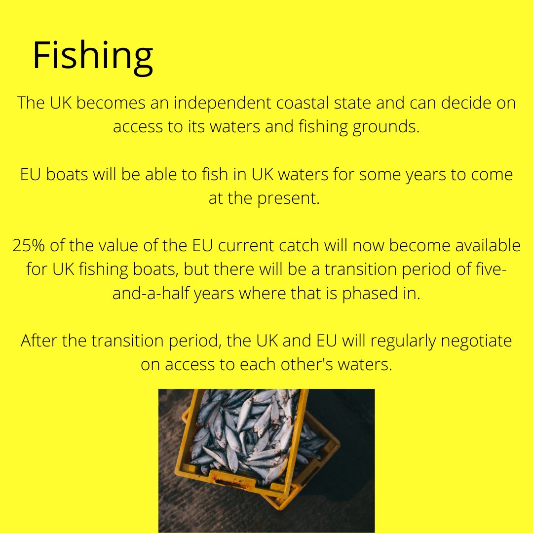 Ruby Doyle (@RubyDoyleYC) | Twitter