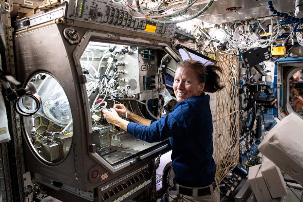 ARISS School Contact 9 Feb 2021, 14:44 UTC – multi-point telebridge via ...