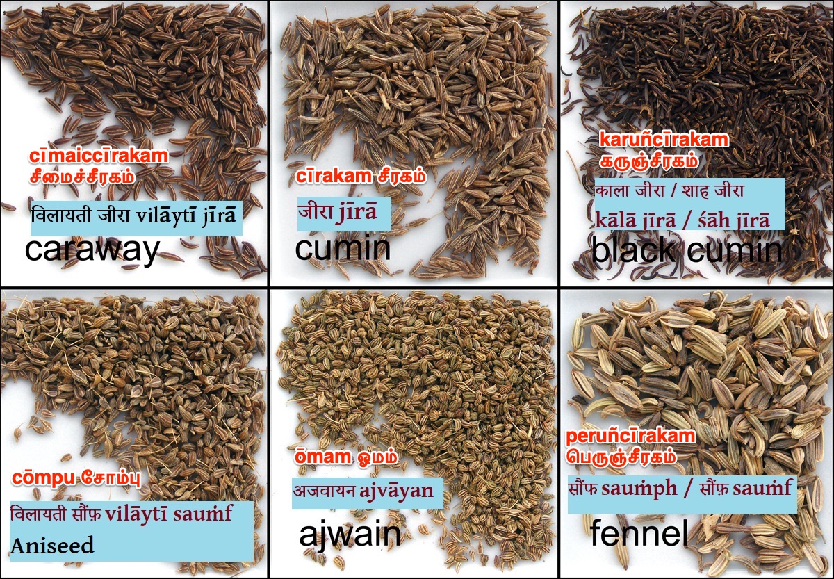 Anise Seeds In Tamil