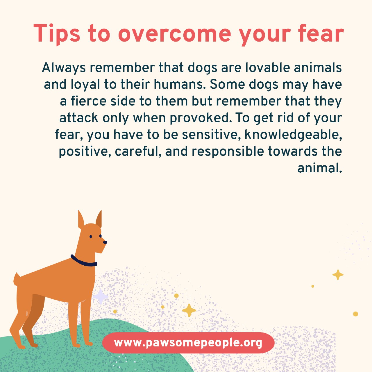 How Do I Get Rid Of My Fear Of Dogs