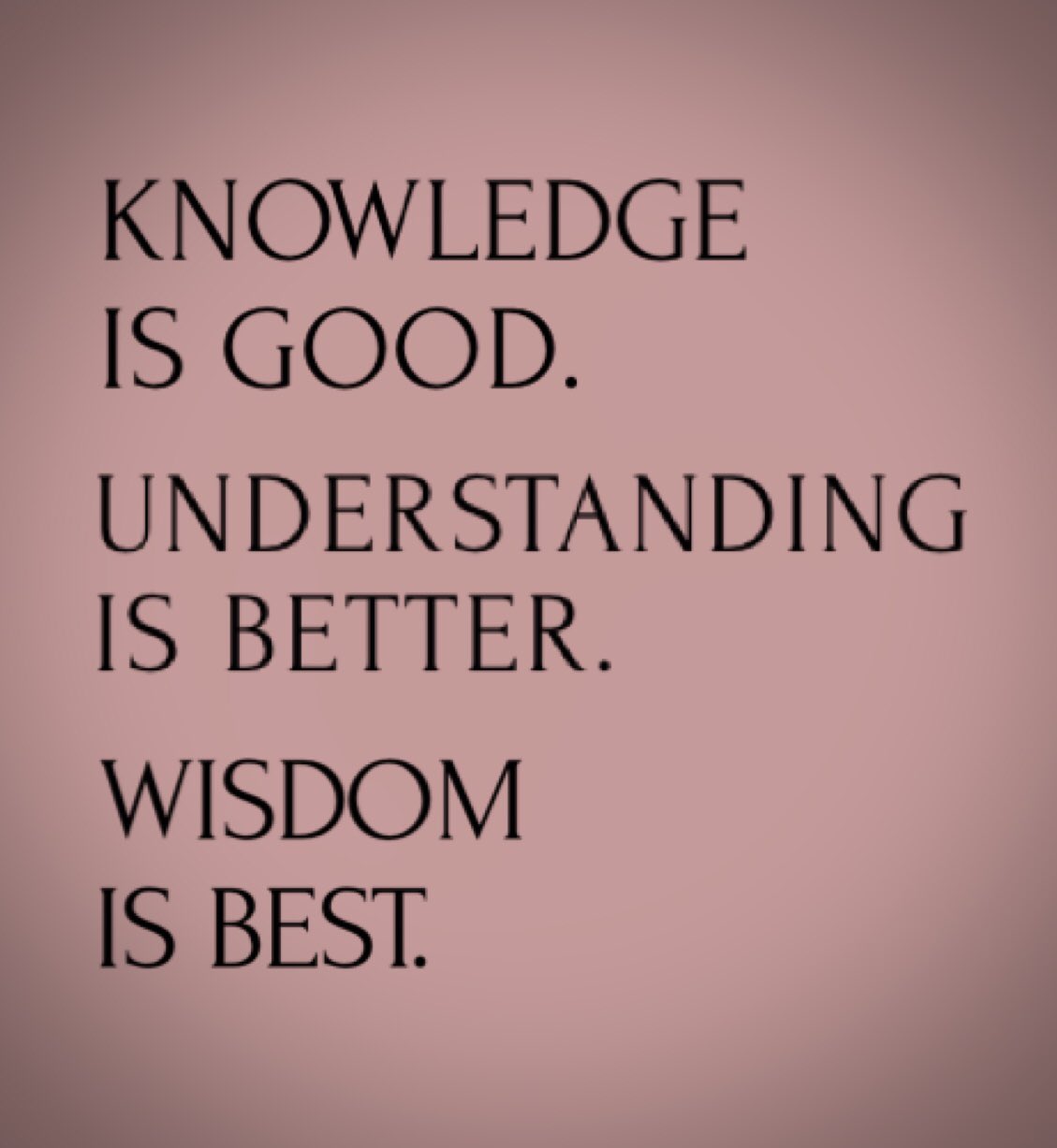 Wise Understanding Quotes