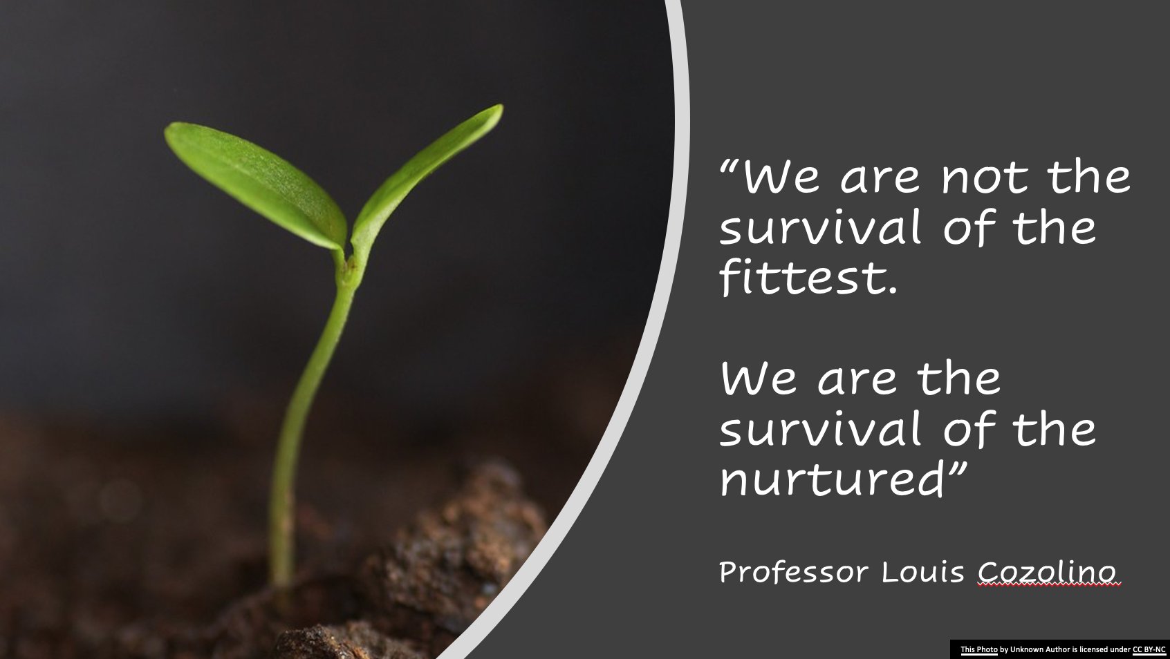 Survival Of The Fittest Quotes