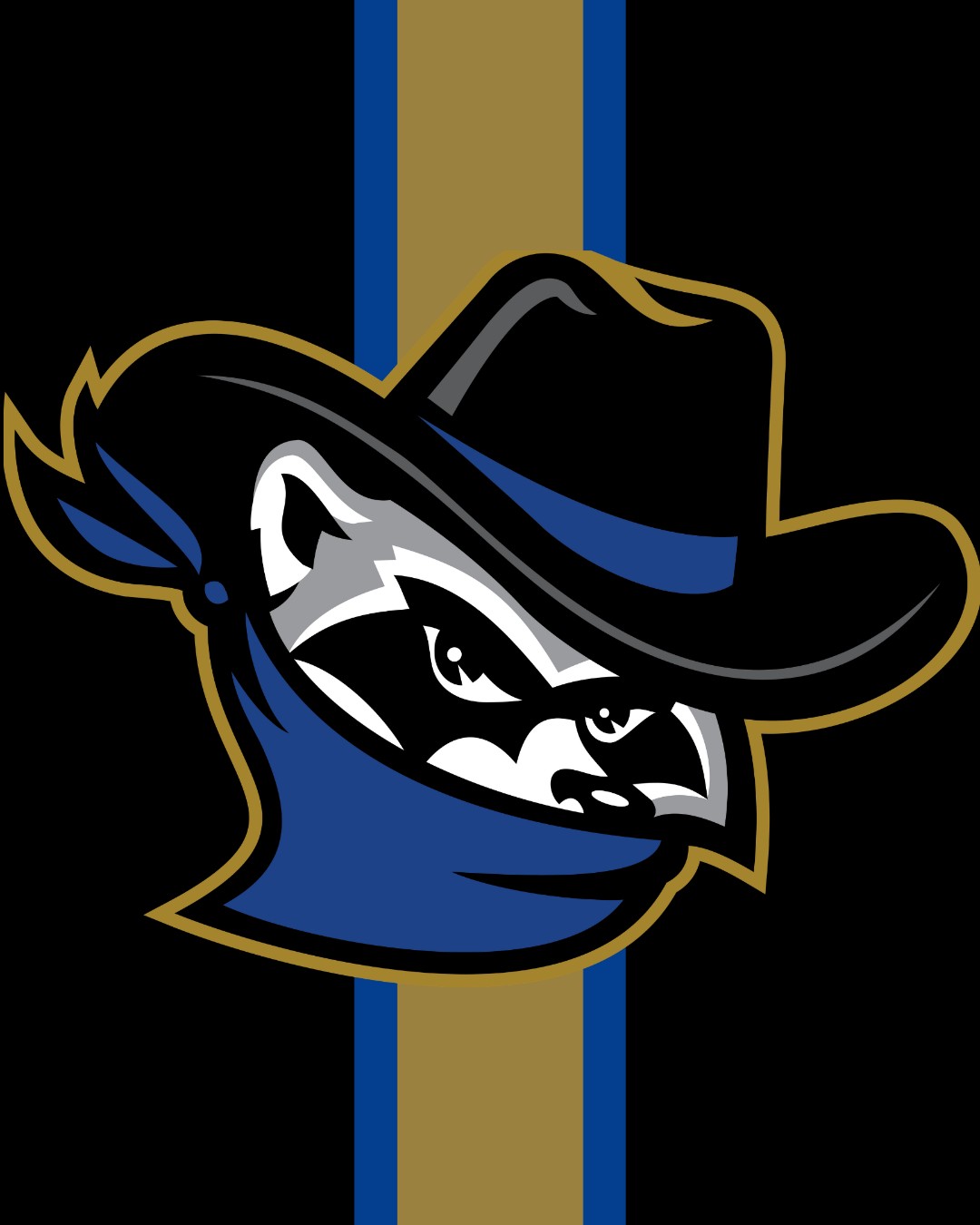 Quad City River Bandits Team New Era Home Logo 39Thirty Hat – Quad