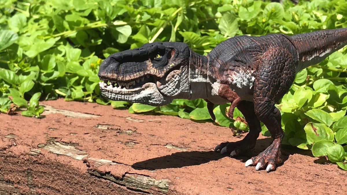 Primeval Tyrannosaurus