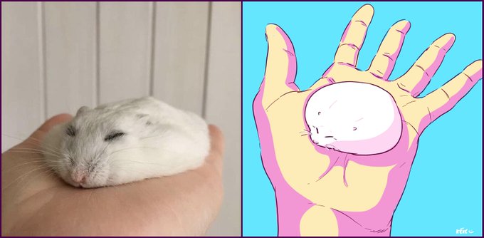 Twoucan - 🌸🥖 Kéké 🥖🌸 (@Kekeflipnote)