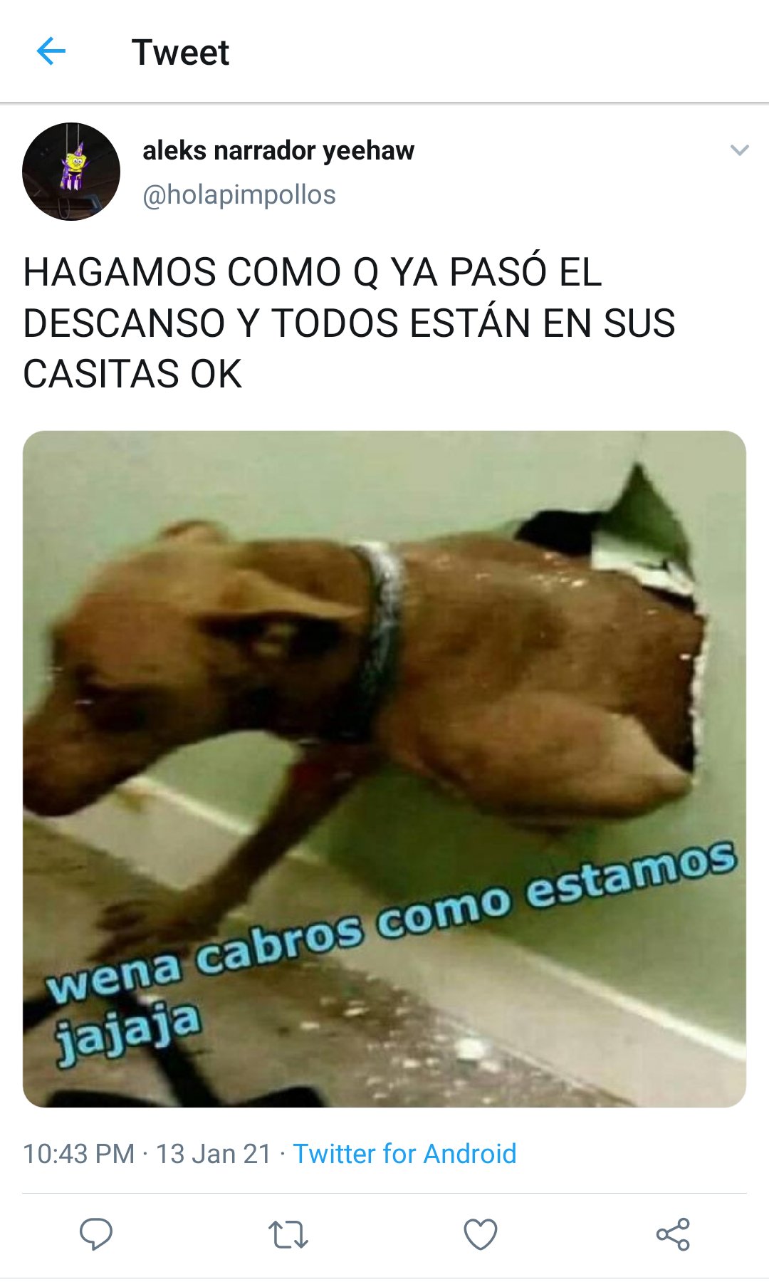 Memes De Wena Perro Jingle Balls 🍒⚖ On X: "Chilangos: No Es