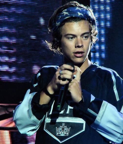 Harry Styles Bandana