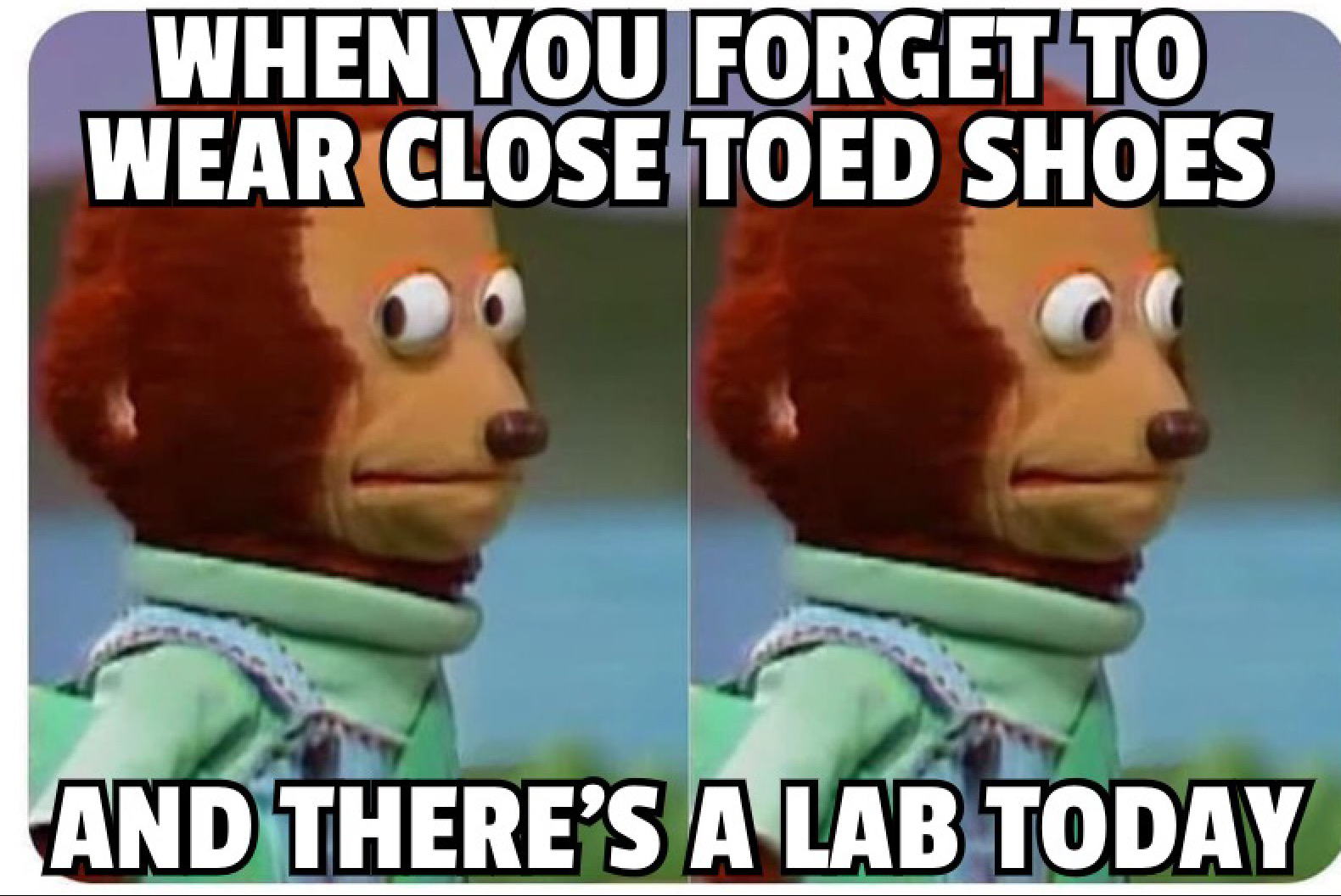 Lab Safety Memes Safety Reminders | Chemistry Joint Safety Team