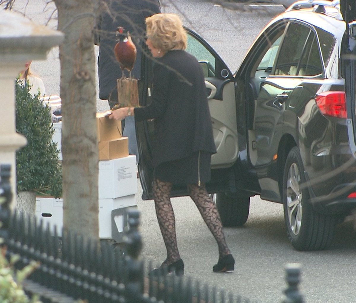 Mark Meadows most certainly innocent wife carries a stuffed bird out of ...