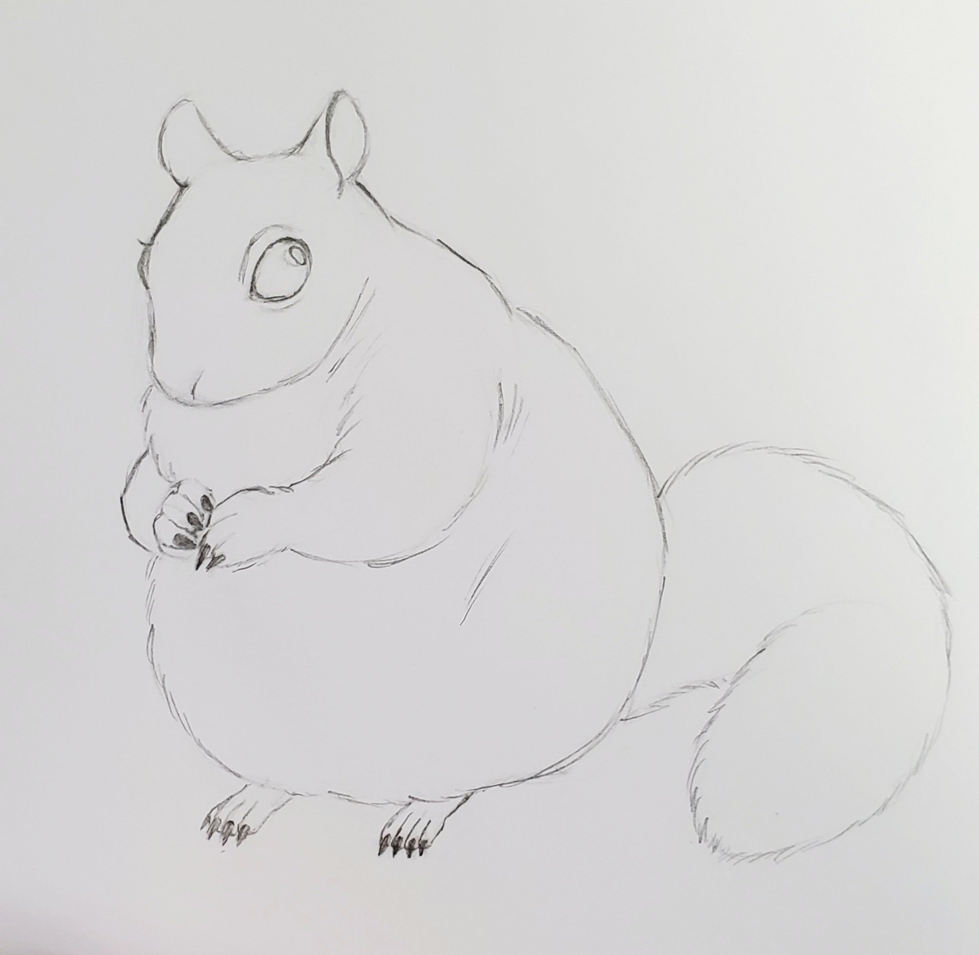Fat Squirrel Cartoon
