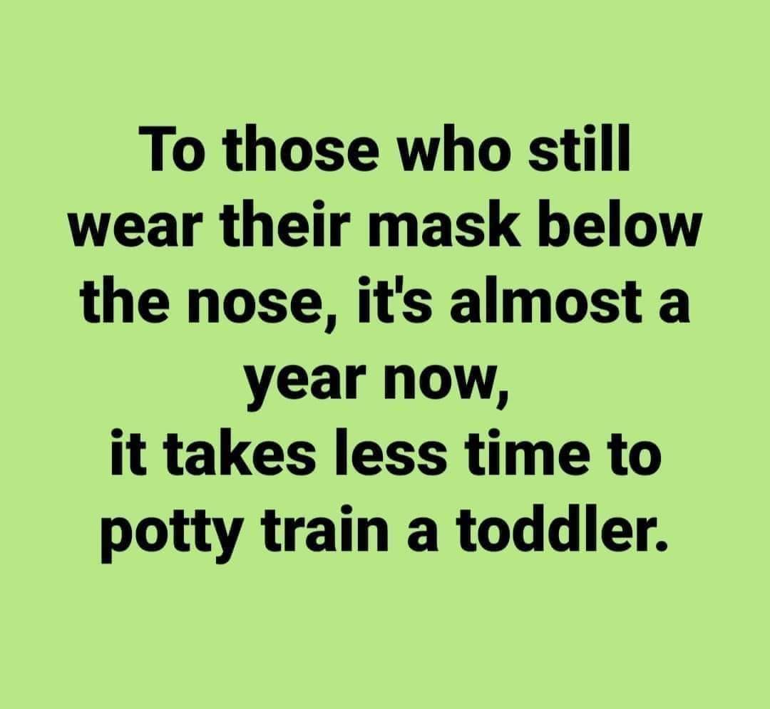 Sarah Elisabeth Cominotti (@sarahecominotti) | Twitter