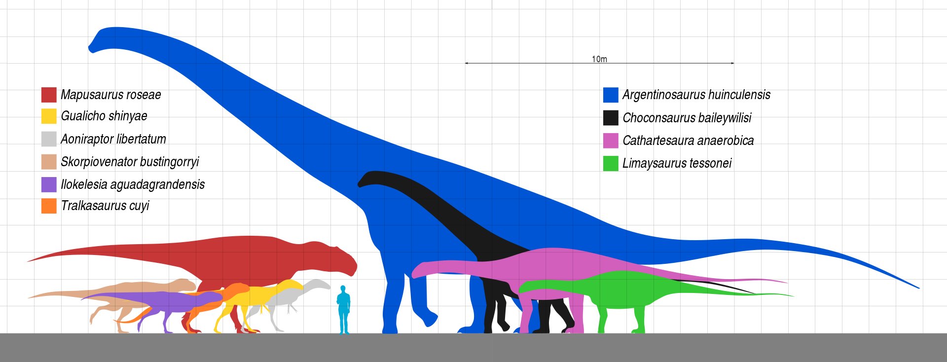Argentinosaurus Size