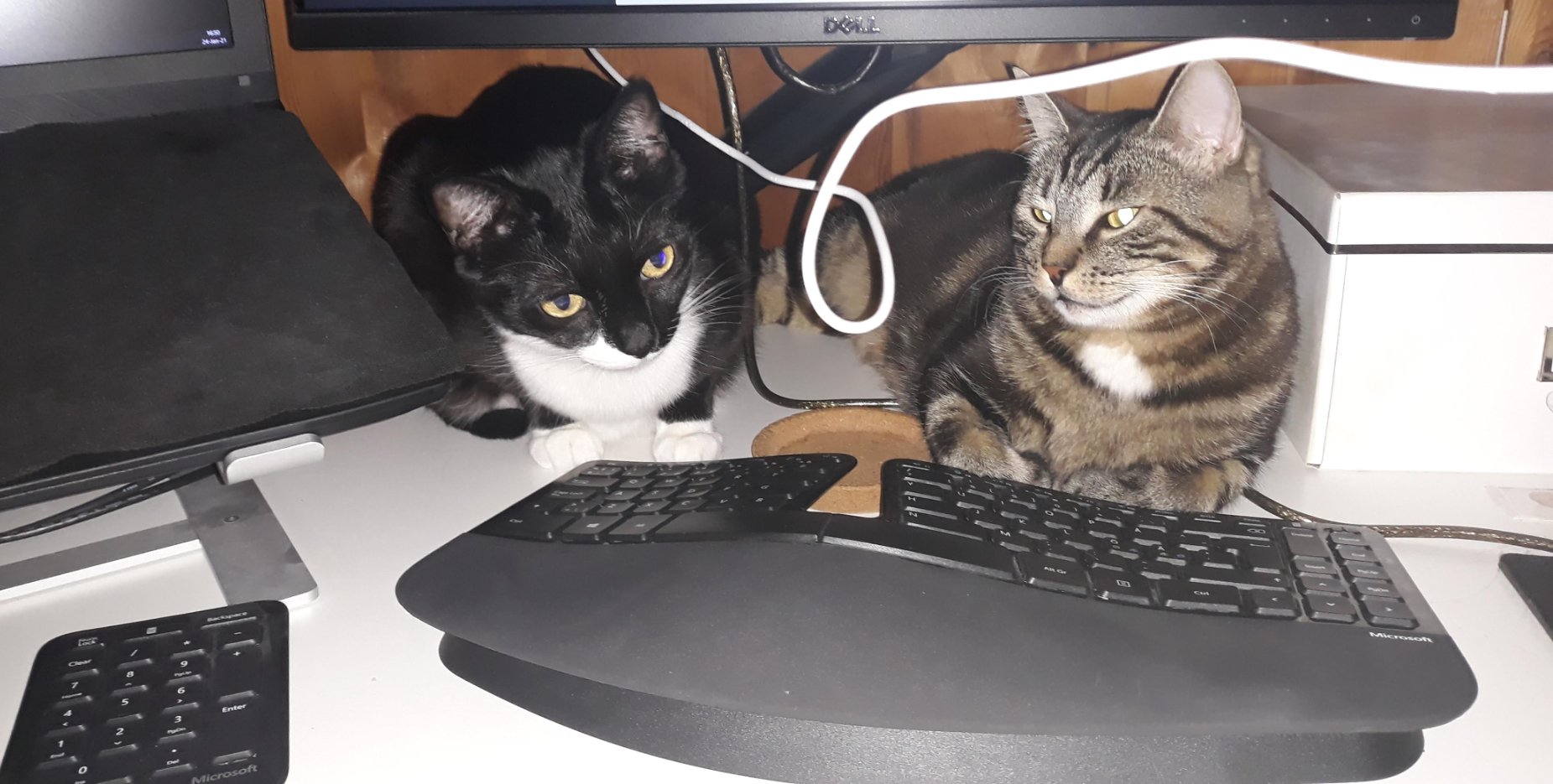 Progress Telerik on Twitter: Progress Telerik on Twitter: