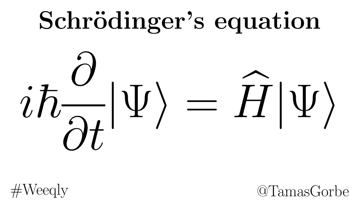 Schrodinger Equation Cat