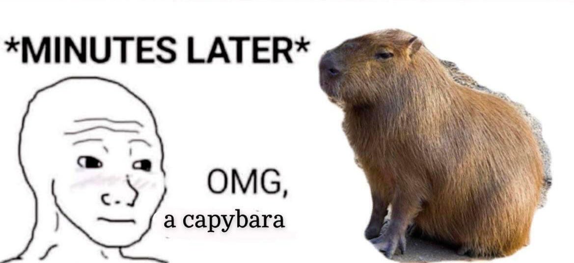 Capybara Meme