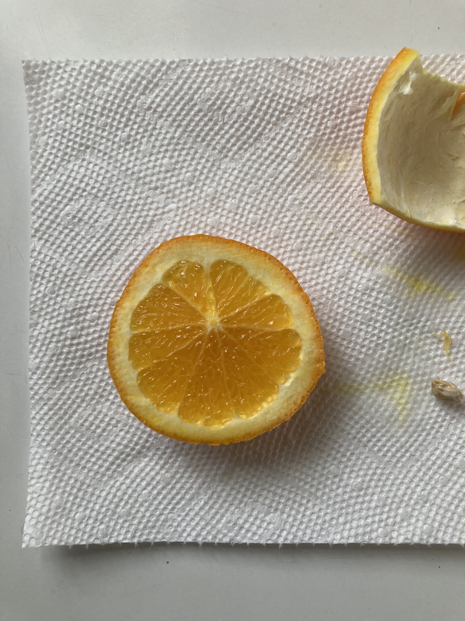 Fibonacci Sequence In Food