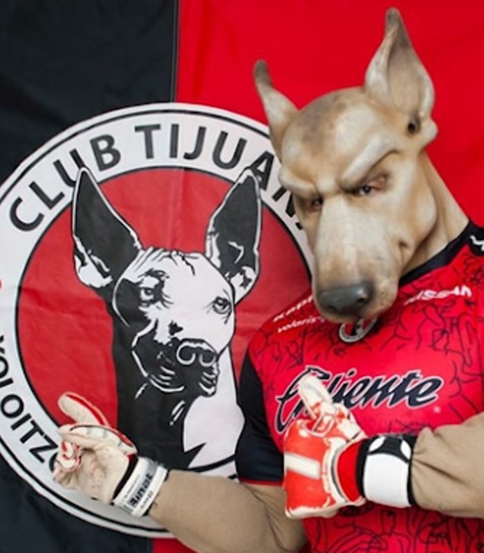 Xoloitzcuintli Club Tijuana Nueva Jersey Club Tijuana Xoloitzcuintles