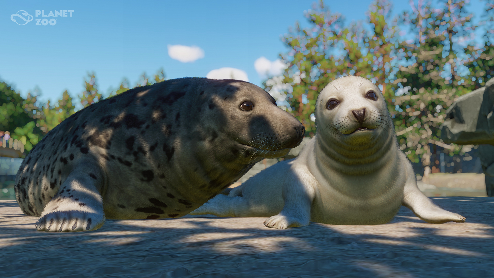 Planet Zoo on Twitter: "Grey seal pups suckle from their mothers for only 2 weeks after birth ...