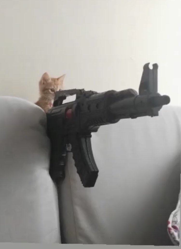 Kitten With Machine Gun