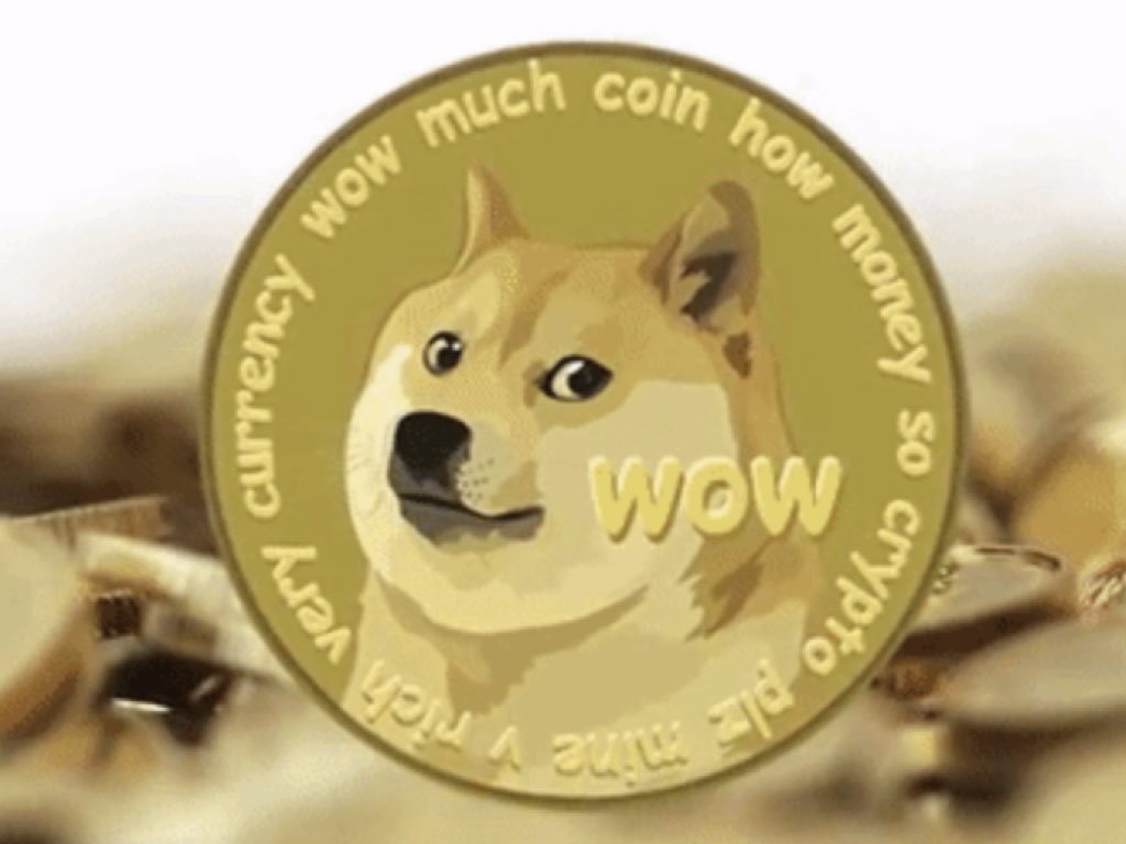 Wtf Doge