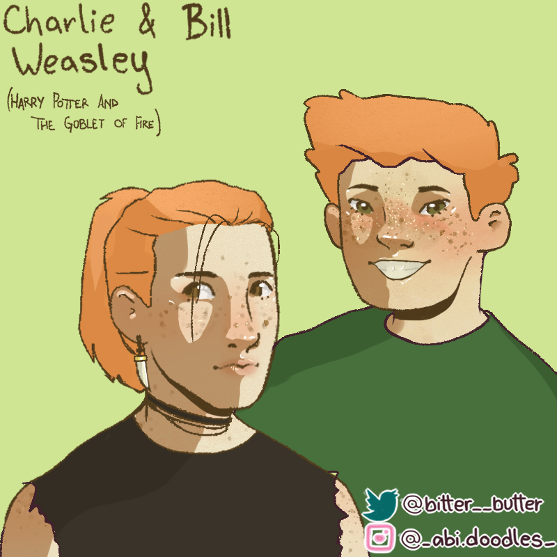 Harry Potter Bill Weasley And Charlie