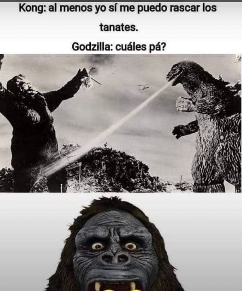 Memes El Chango Novalezapegato