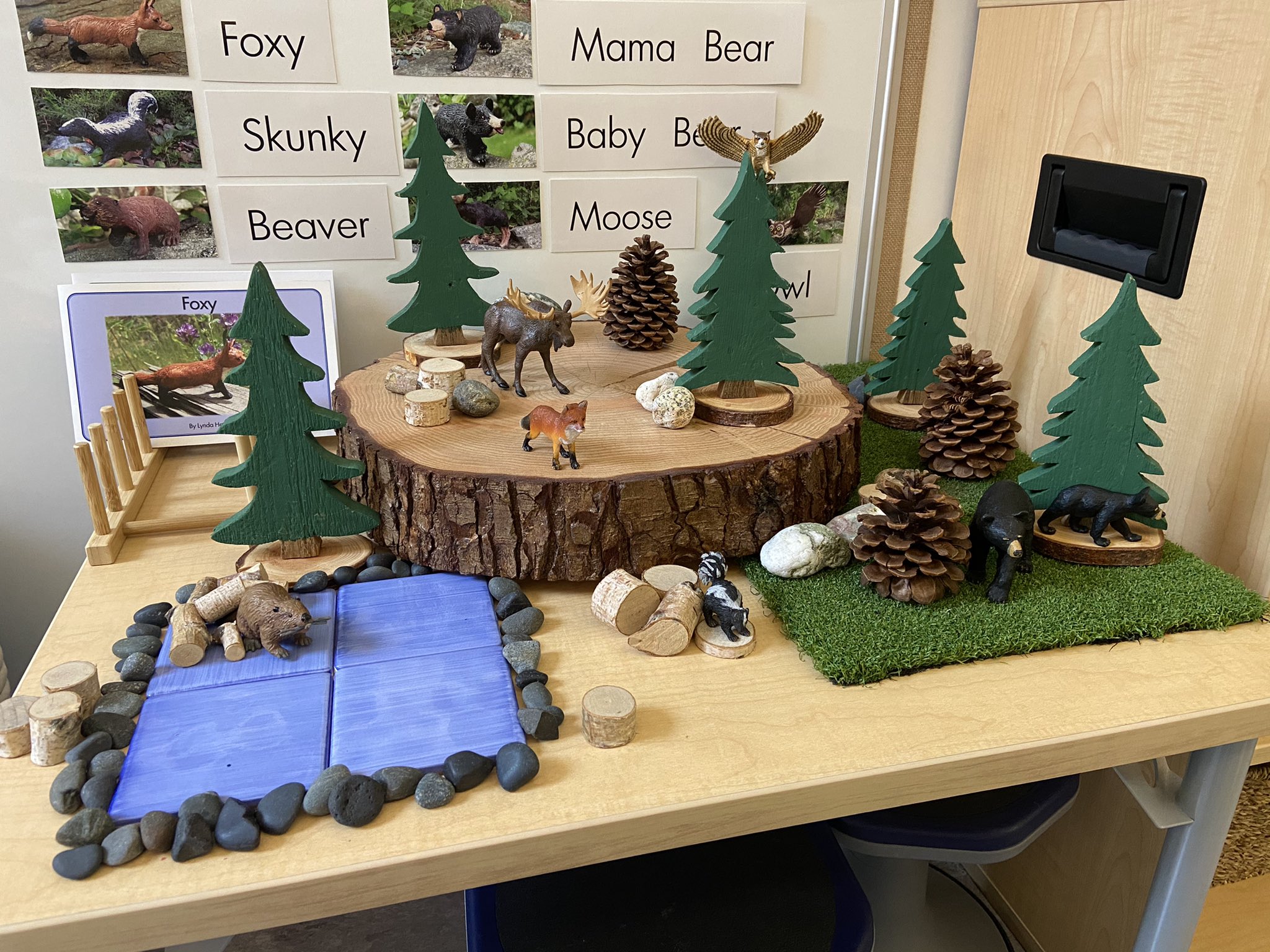 Foxy World Sets