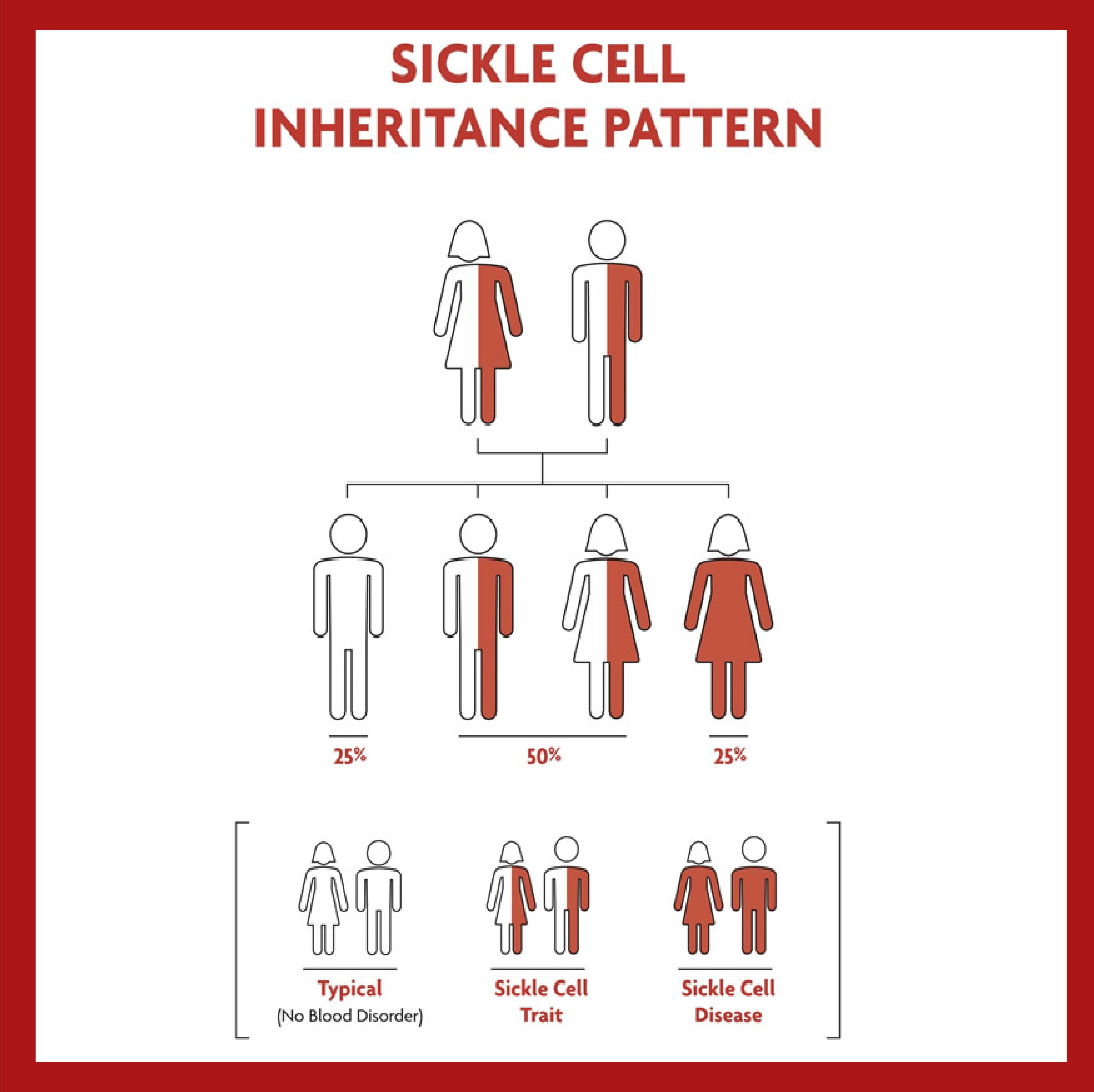 Sickle Cell Anemia Chart