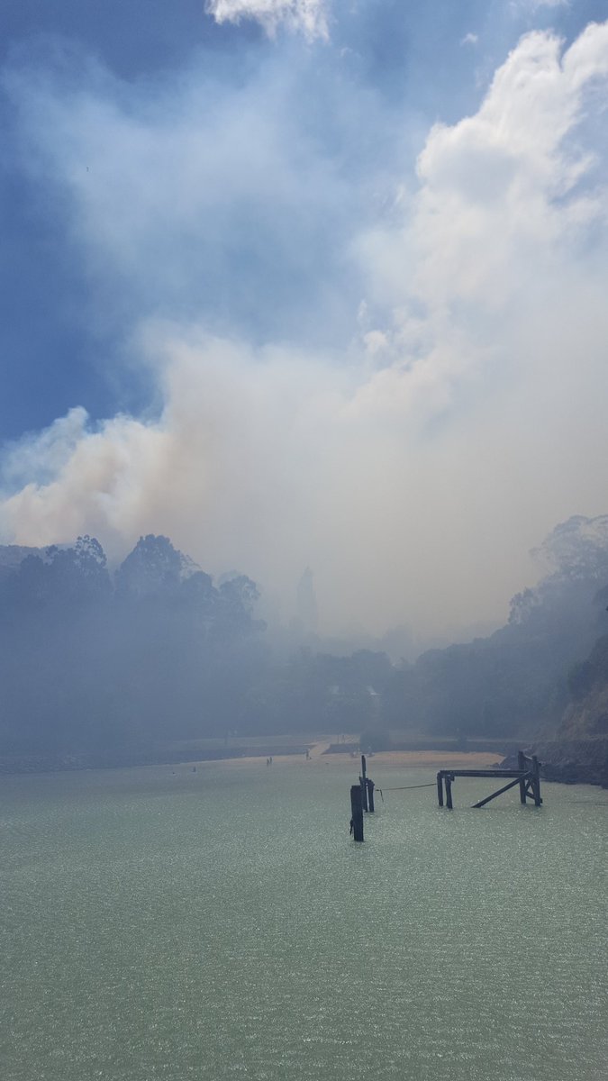What appears to be a large scrub fire has broken out in the Port Hills ...