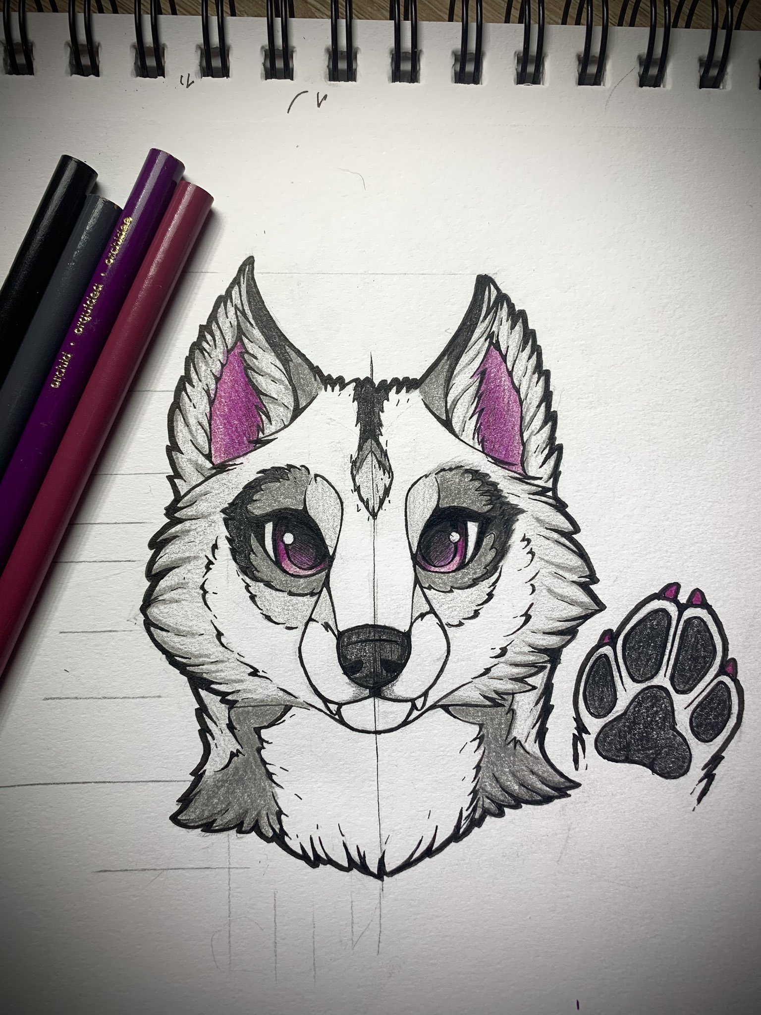 Anime Wolf Drawings In Pencil