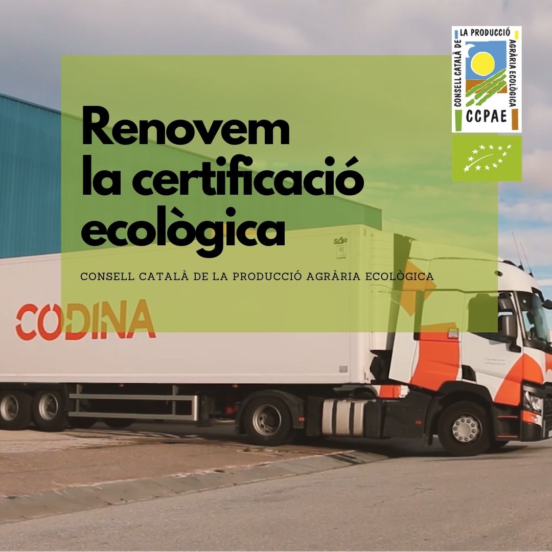 Contador Horno Seguid así transports codina Fuerza Me preparé Ingenieros