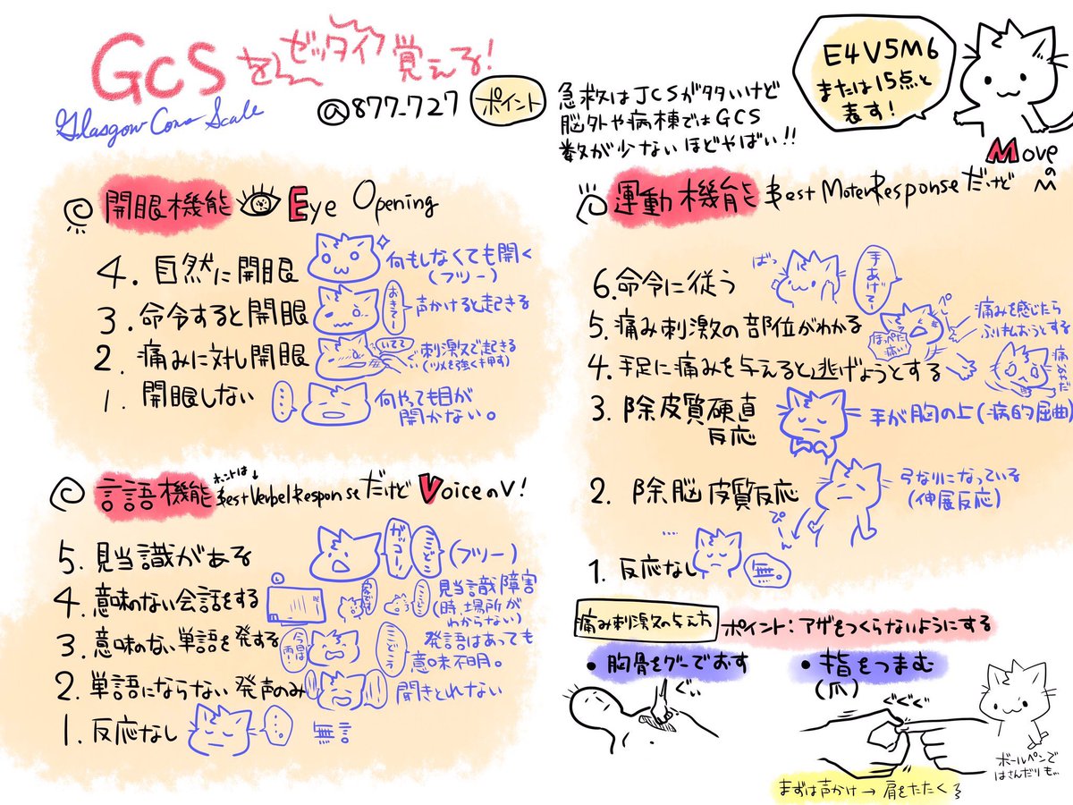 周手術期看護めも】 看護師国試では「Mooreの提唱した手術後の回復過程の第 相(〜期)の生体反応はどれか」のような形」看護師のかげさん🐱🍌の漫画