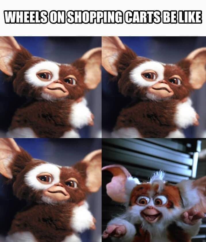 Gizmo Gremlins Meme