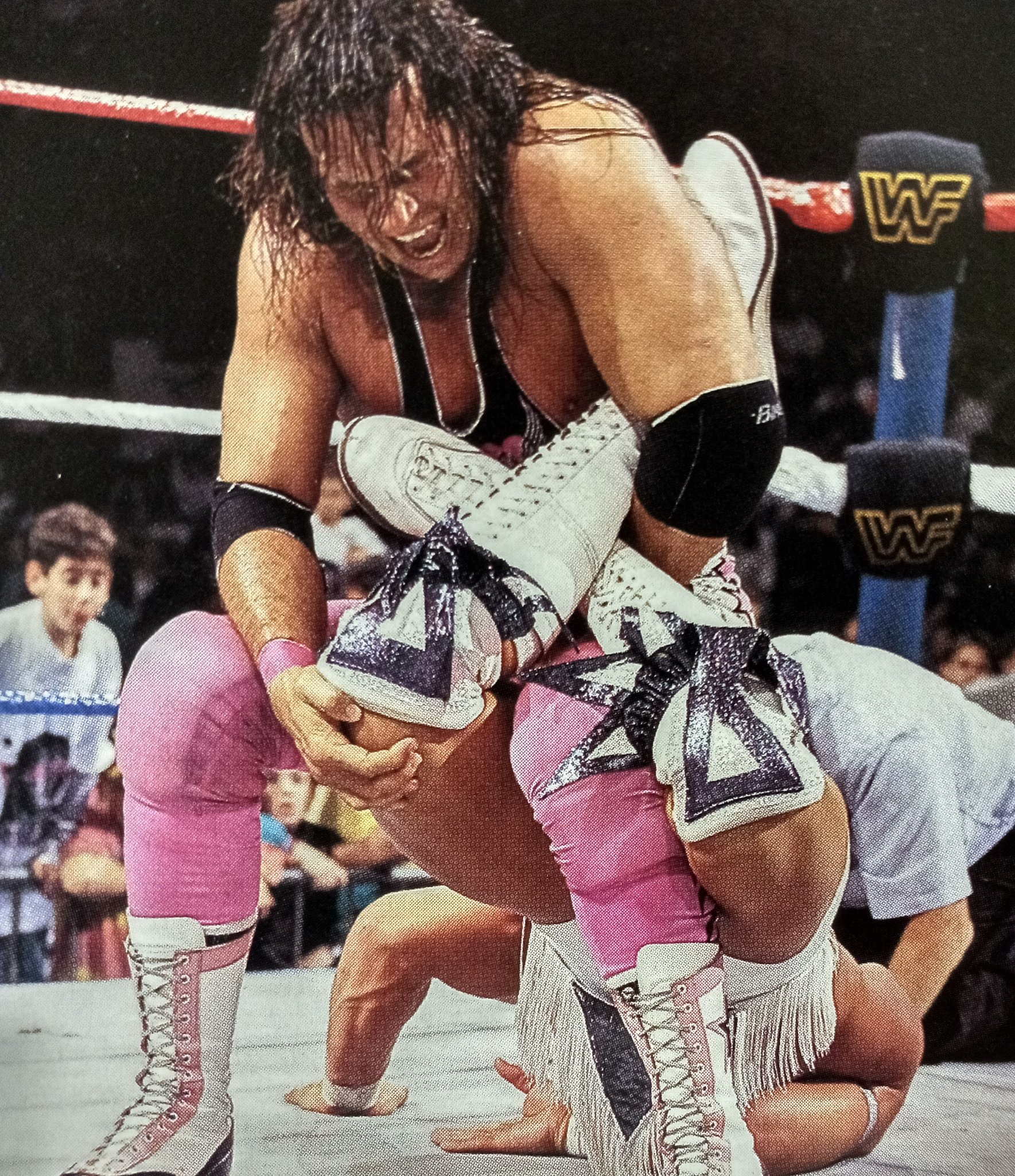 Bret Hart 1993